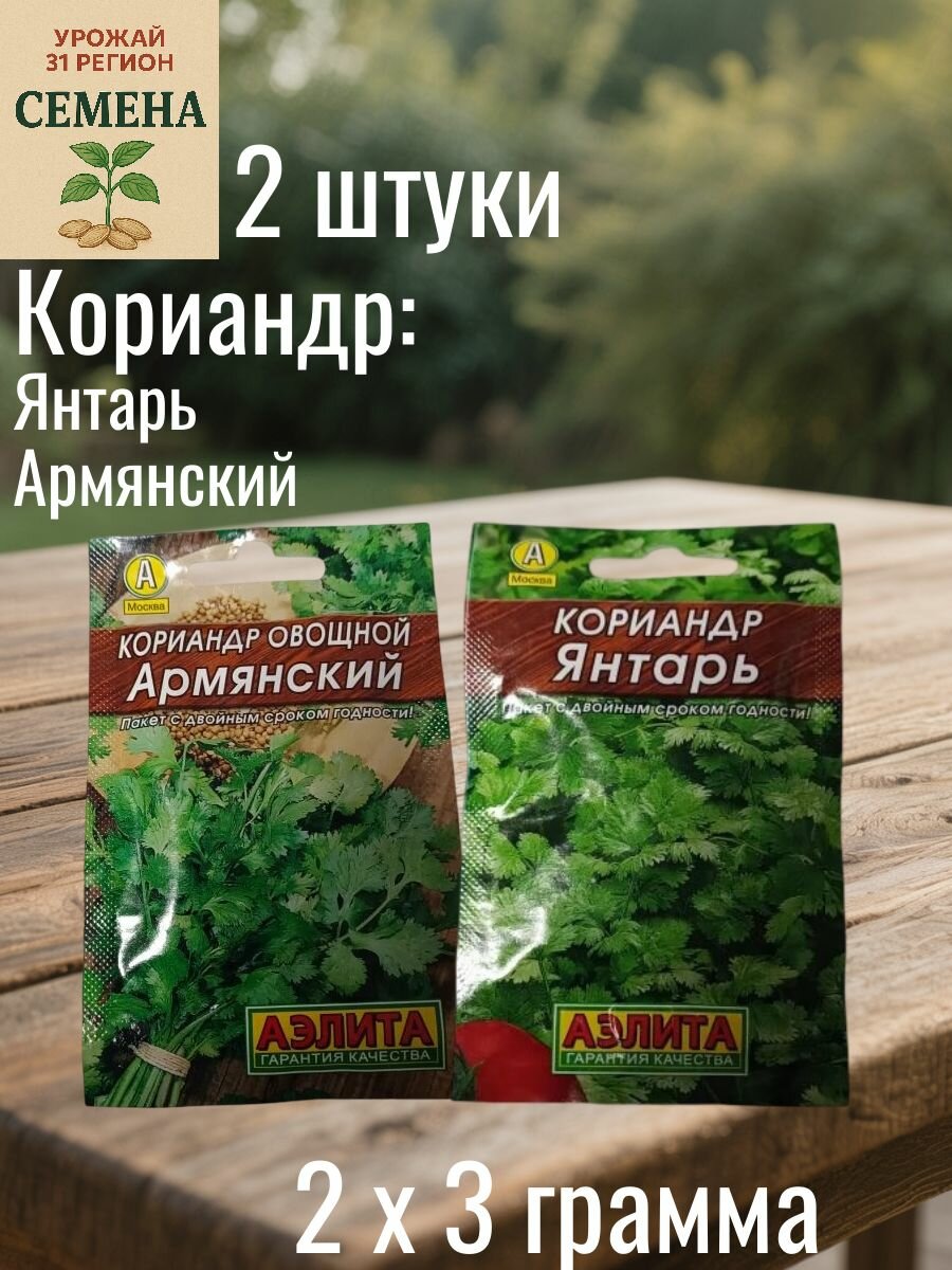 Семена кориандр овощной Армянский , Янтарь 2 упаковки семена кориандра кориандр овощной кориандр Армянский