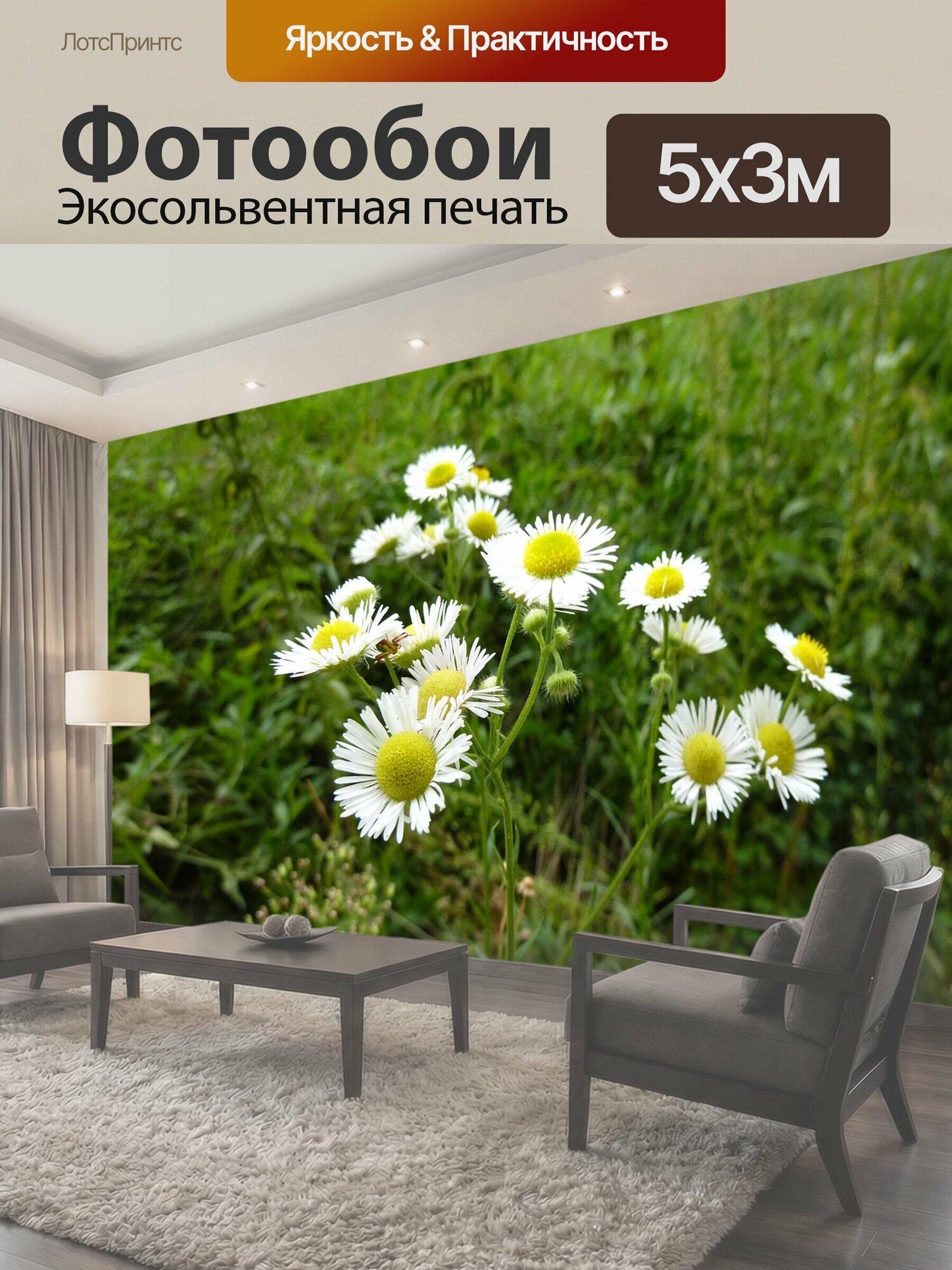 Фотообои "Ромашка, травы, луговой завод" 500x300 см. экосольвентная печать