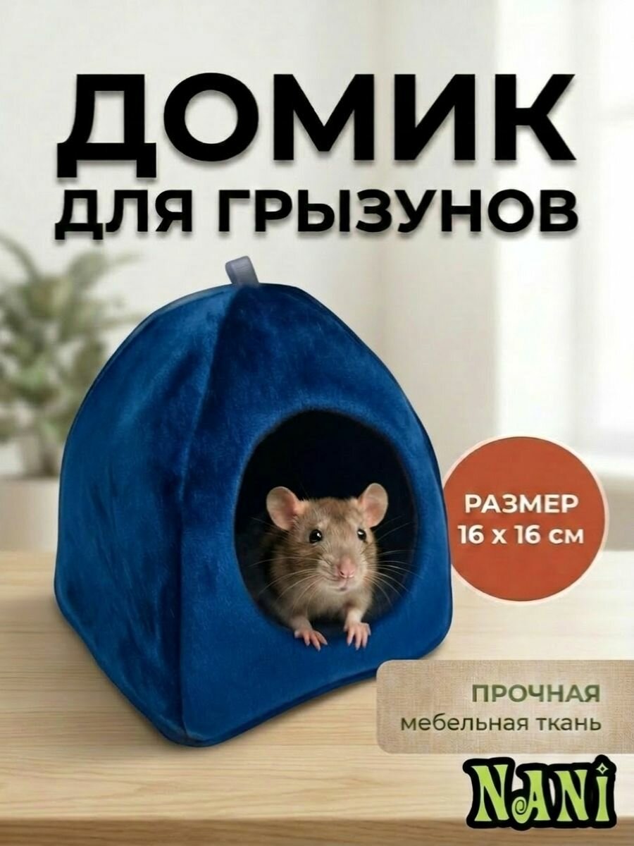 Домик для грызунов и мелких животных (крыса, хомяк и т. д.), 2в1, 16*16см, Арт. Д034, тем. син