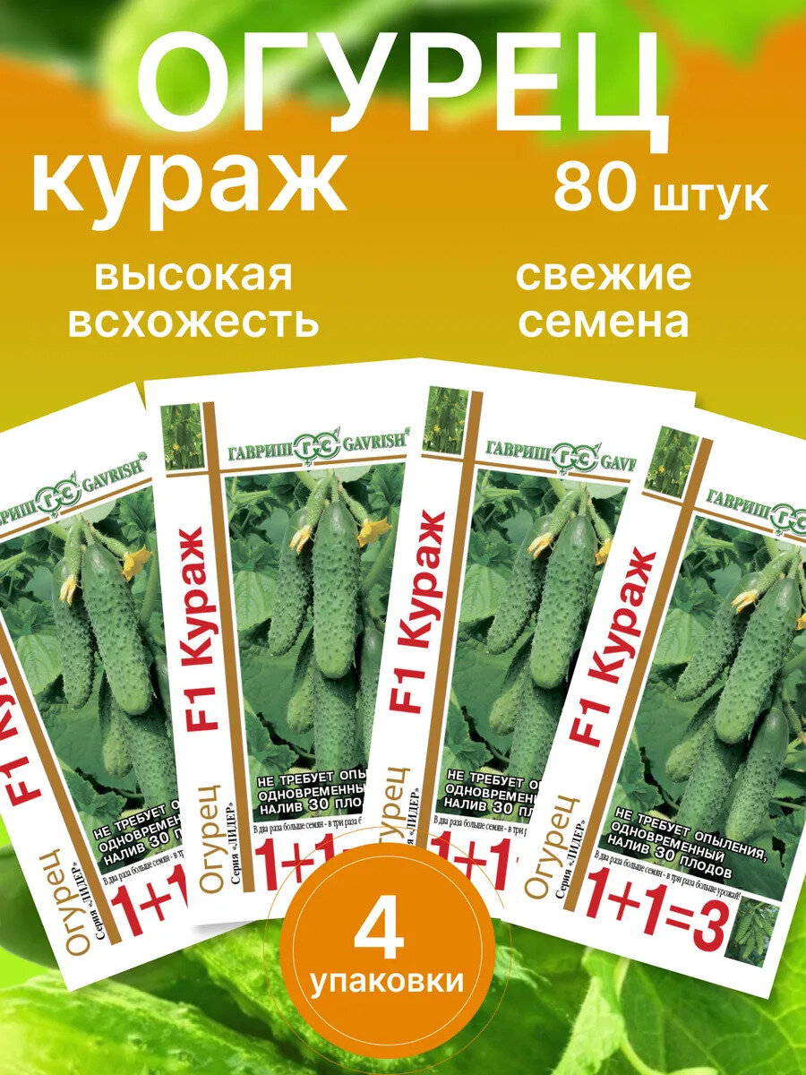 Семена огурцов самоопыляемые для теплиц Кураж 4 пакета по 20 шт