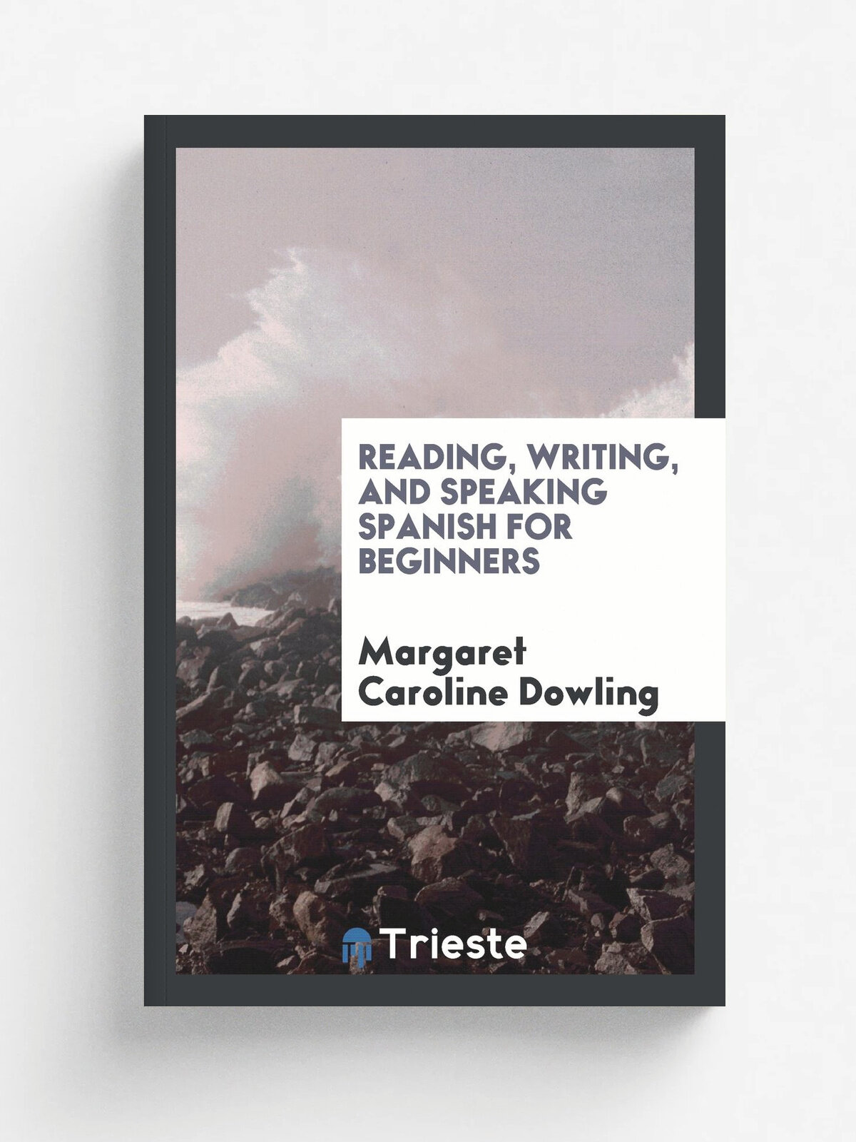 Reading, Writing, and Speaking Spanish for Beginners
