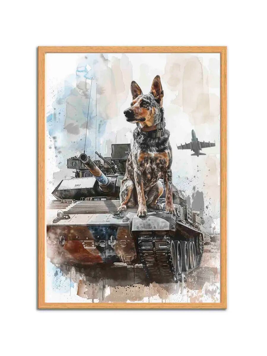 Австралийский пастуший пес-солдат 1, Плакат 30x42см