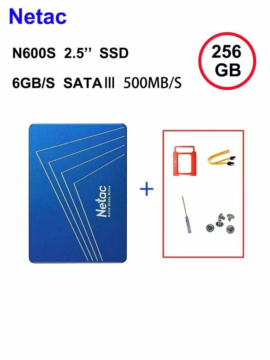 Netac Ноутбук 256 ГБ, (Netac N600S SSD 256GB), лазурный