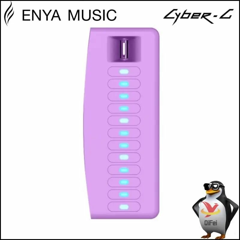 Модуль выделенной клавиатуры ENYA Cyber G-x