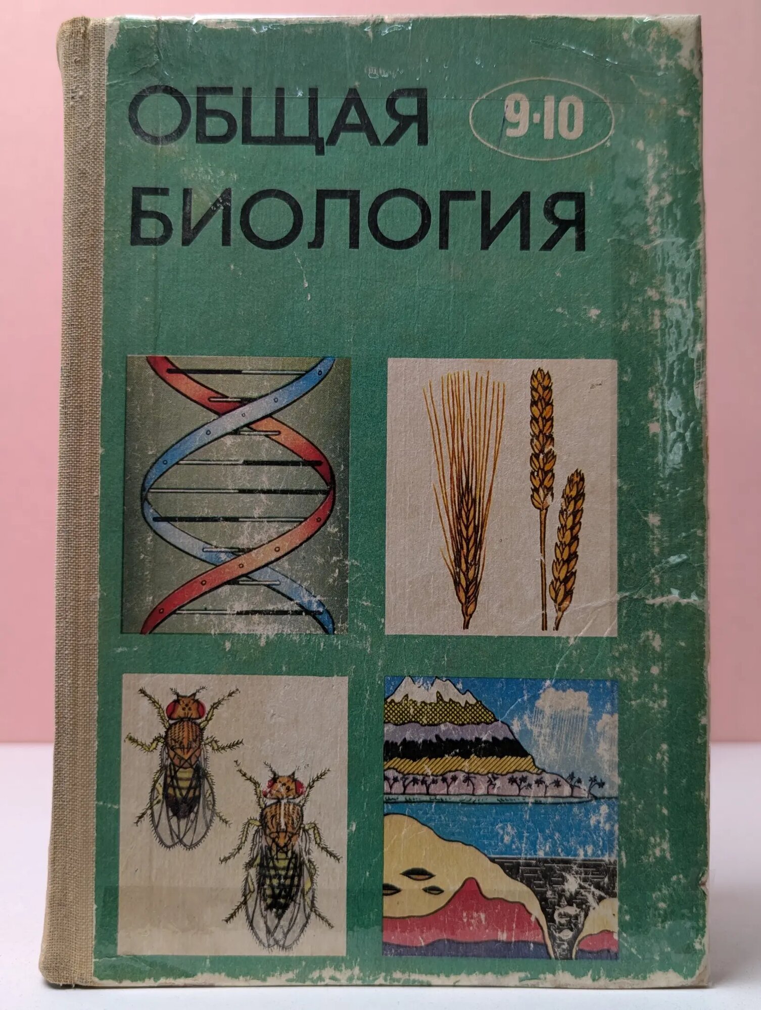 Общая биология. Учебник для 9-10 класса Сборник 1983