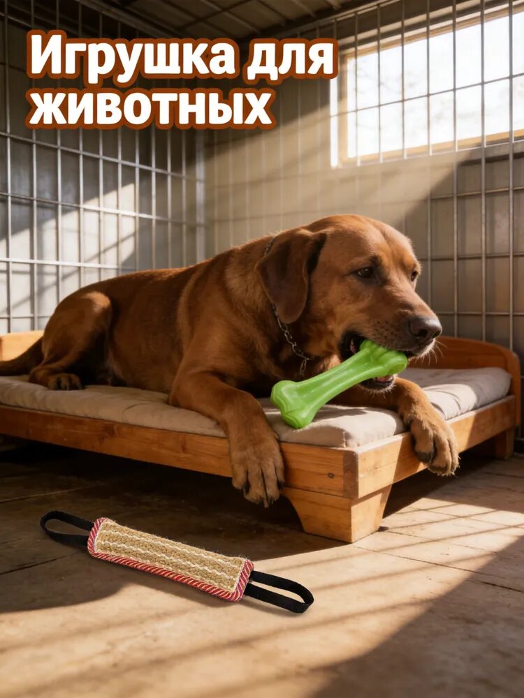 Игрушка нейлоновая косточка и тренировочный буксировочный жгут для собак в наборе, для чистки зубов и активных игр