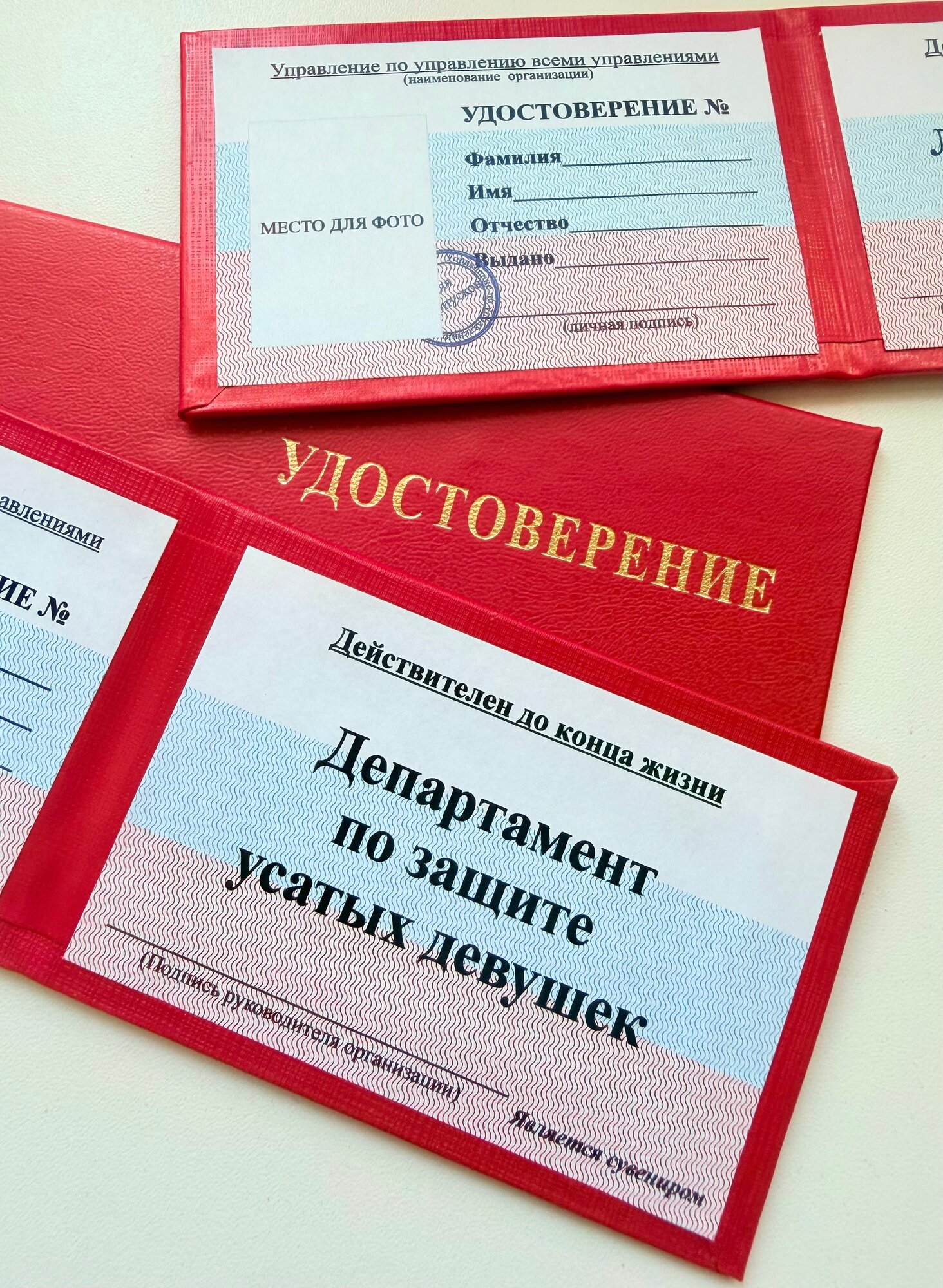 Удостоверение сувенирное ксива Департамент по защите
