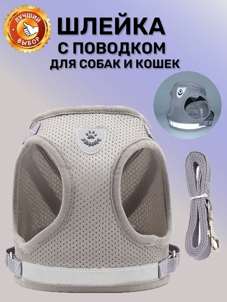 Шлейка с поводком для собак мелких и средних пород / Шлейка для кошек S