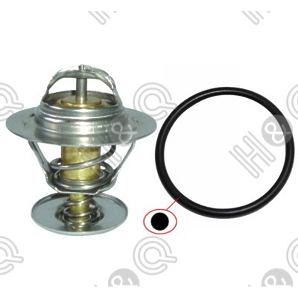 H&Q 5010F102 термостат