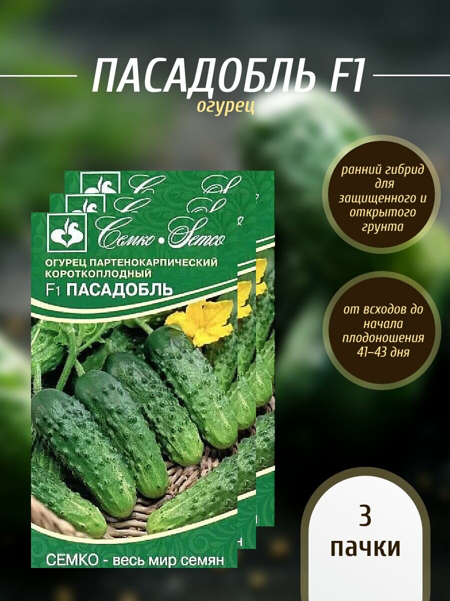 Огурец Пасадобль-3 пачки по 10 семян