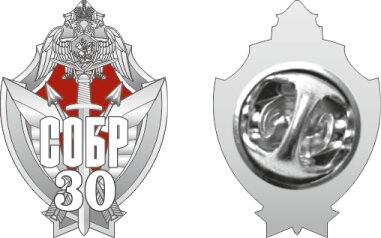 Знак "30 лет собр Росгвардии по Республике Башкортостан"