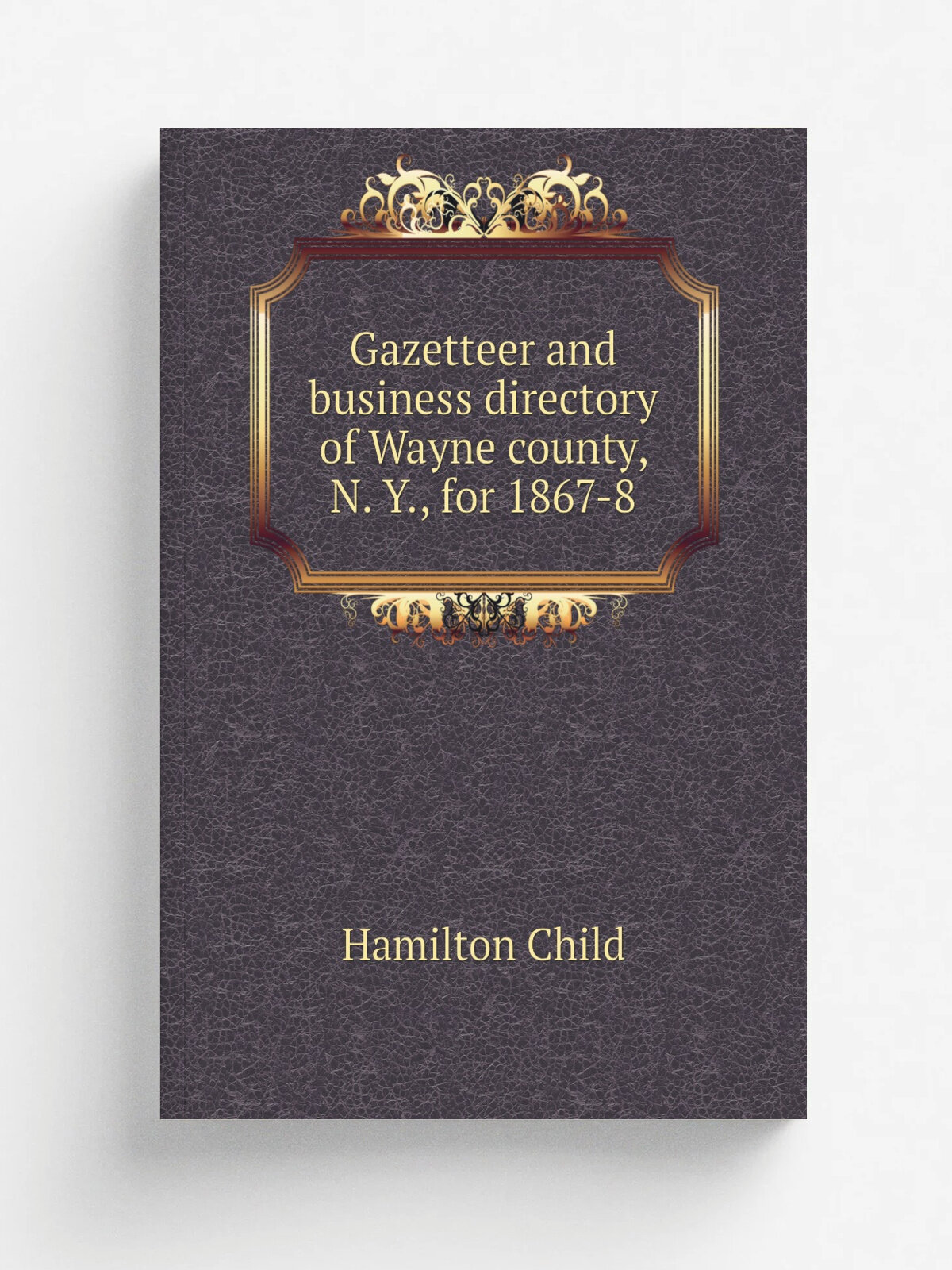 Gazetteer and business directory of Wayne county, N. Y, for 1867-8
