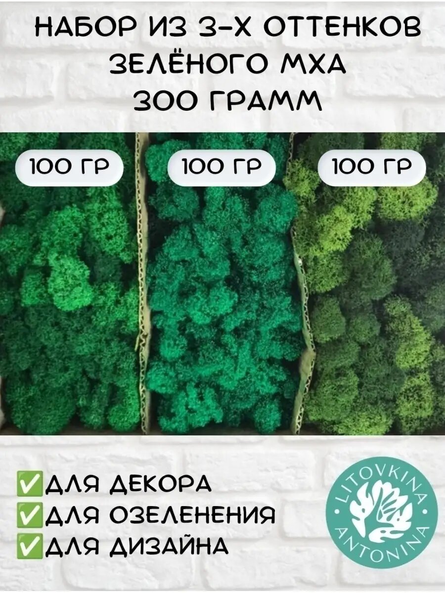 Набор декоративный стабилизированный мох ягель