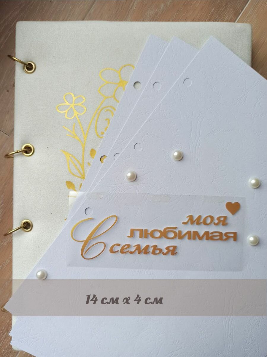 Термотрансфер Моя Любимая Семья красивая надпись золото