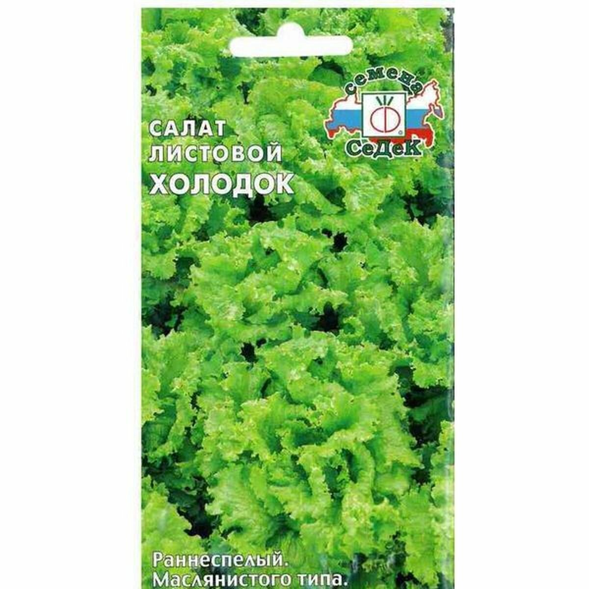 Семена Салат Холодок, листовой, СеДеК, 1 пачка - 0.5г семян