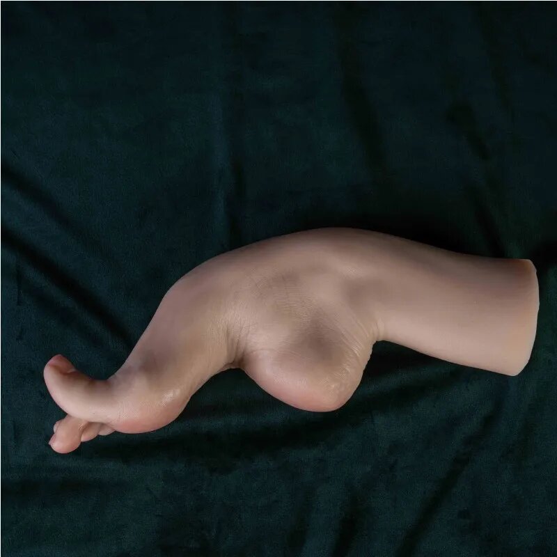 Модель ноги силиконовая женская, правая, 24 см, Right Foot All bones