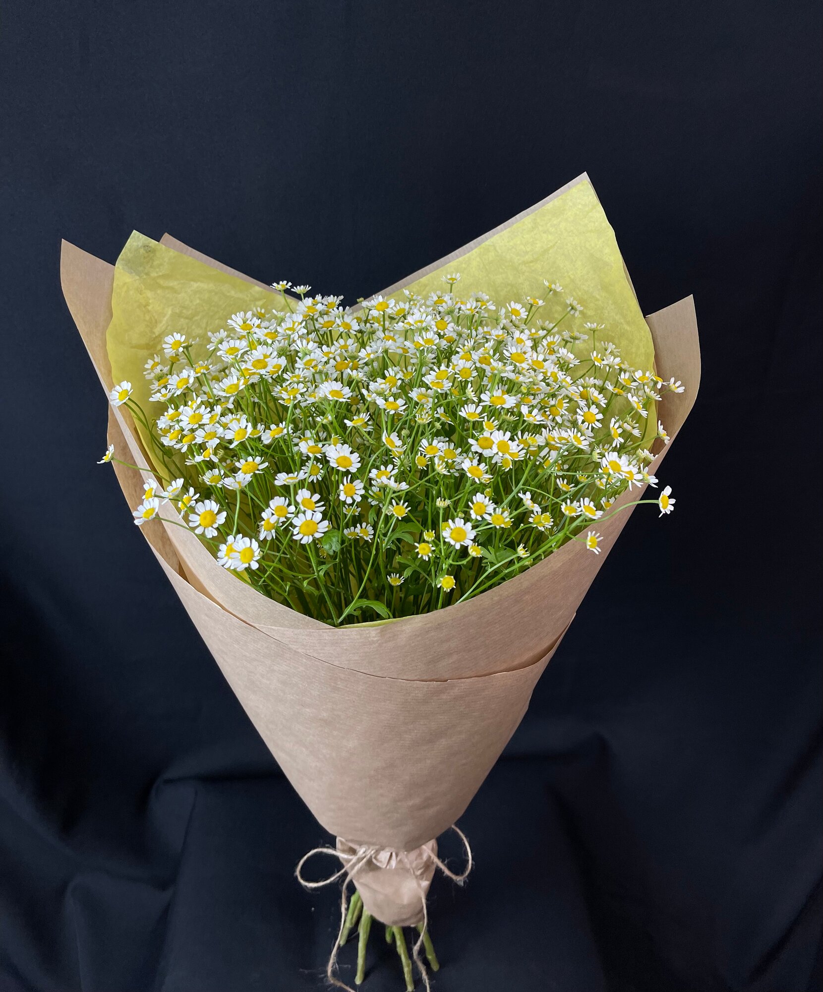 Букет ромашек "Камилла" ( ромашки, полевой букет , летний букет)