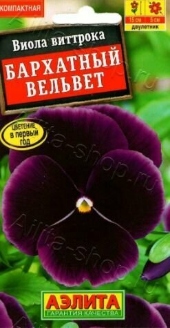 Виола Бархатный вельвет ( 3 упаковки ), семена