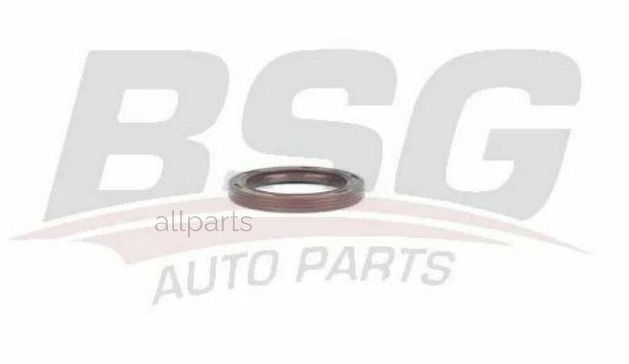 BSG AUTO PARTS BSG 30-116-088 О-ринг вакуумного насоса - нижн. TRANSIT V184 01- BSG BSG 30-116-088