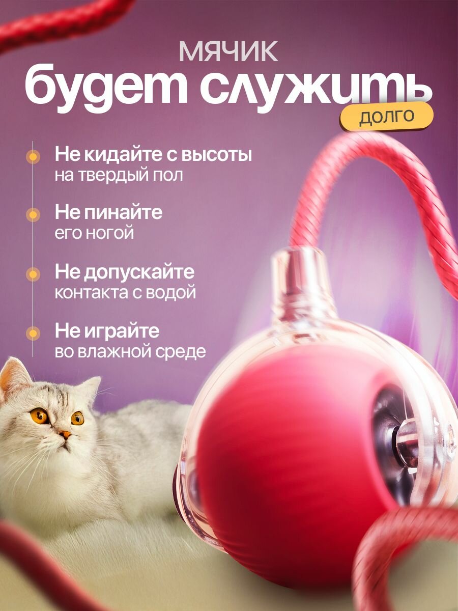 Игрушка для животных — фото 1