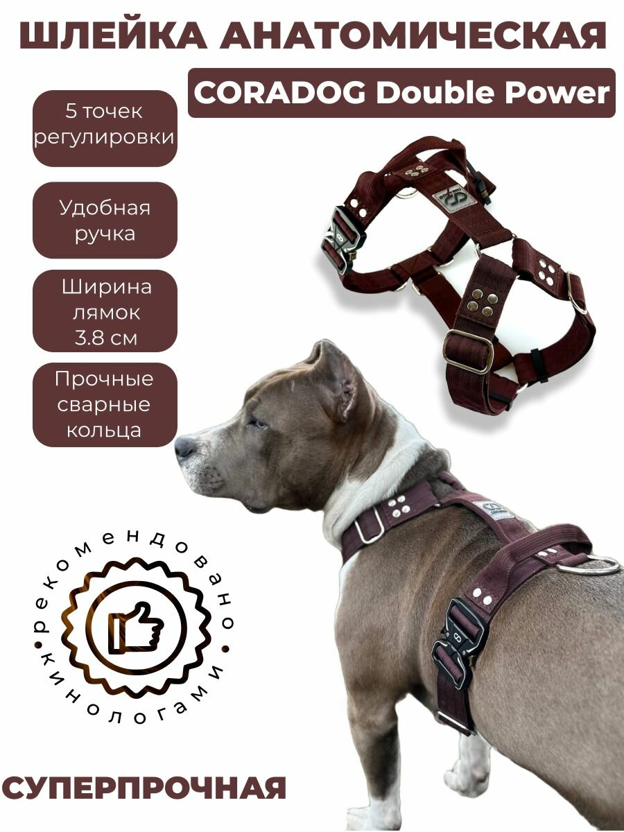 Шлейка с ручкой для собак прогулочная анатомическая, для ЗКС, тренировок, CORADOG Double Power для крупных и средних собак, размер M, темно-коричневый