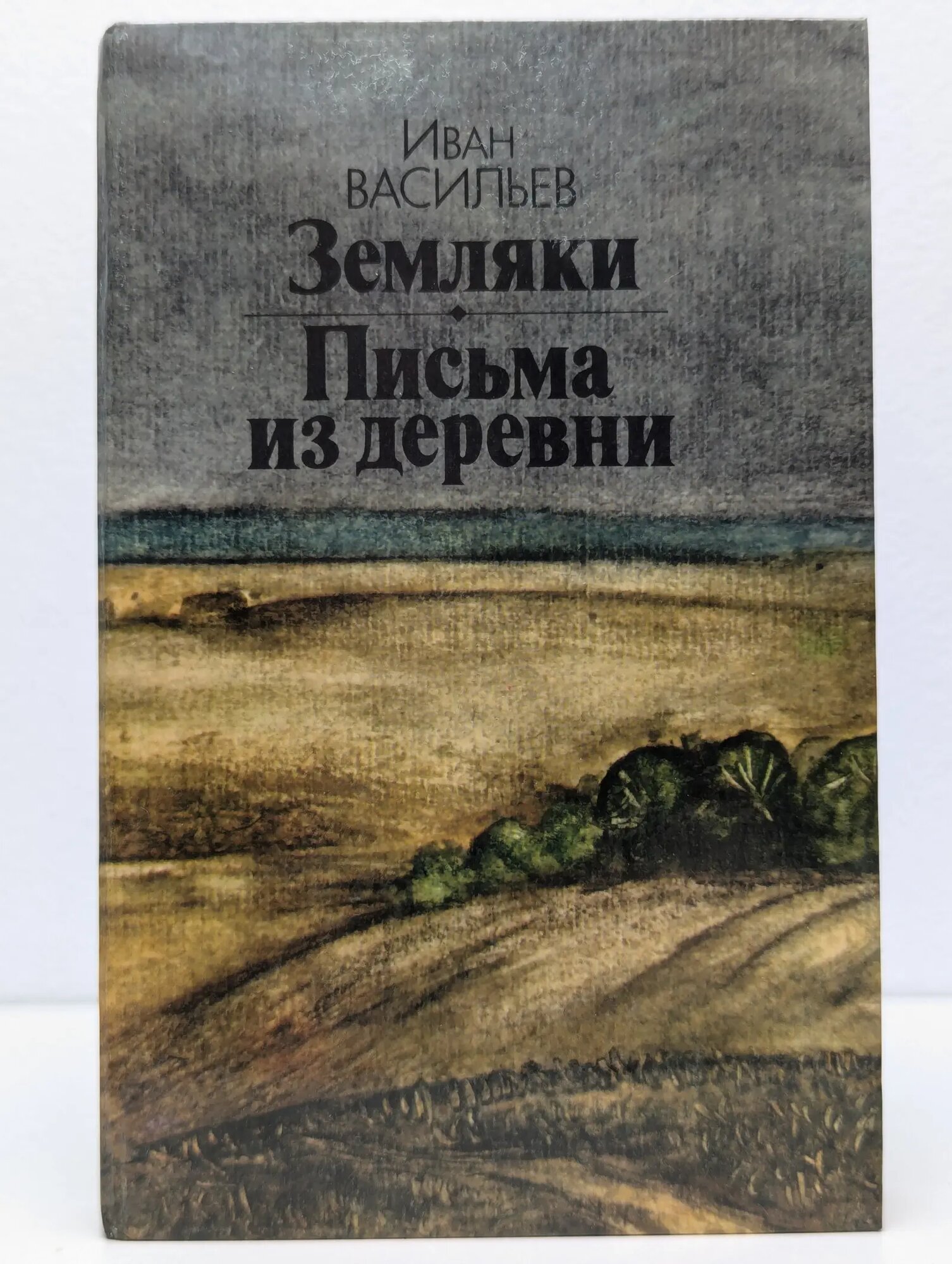 Земляки. Письма из деревни Васильев Иван Афанасьевич 1985