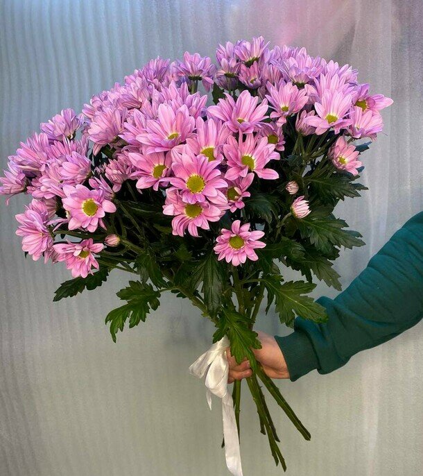 Букет "Well Flowers", круглые хризантемы, 9 шт, букет свежих цветов