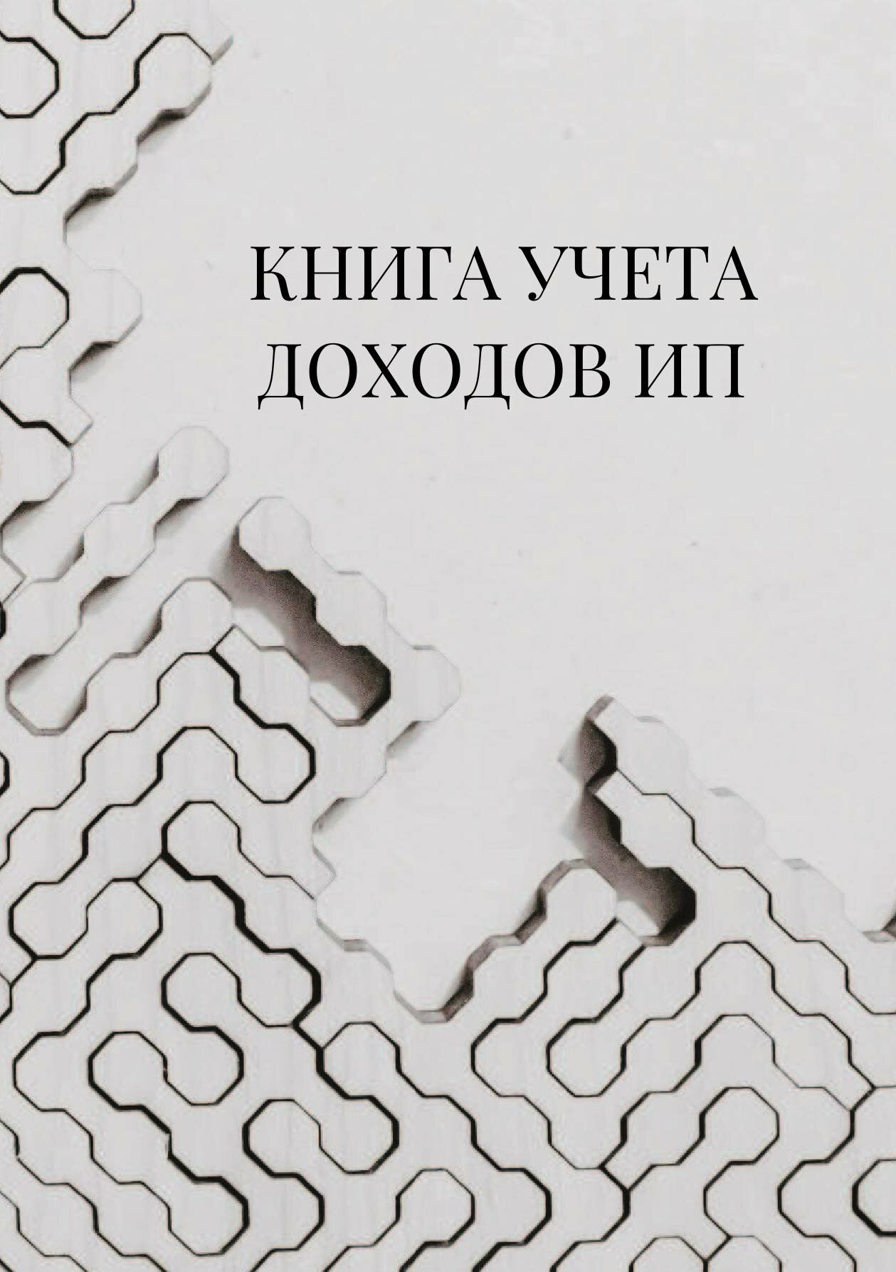 Книга учета доходов для ИП на патенте