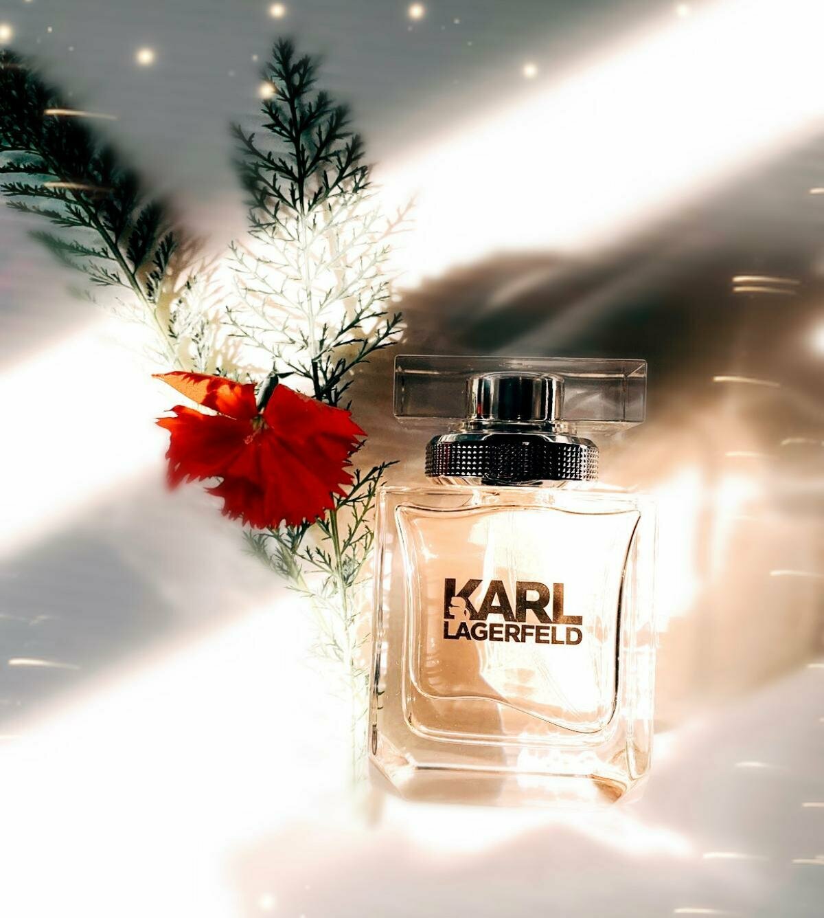 Karl Lagerfeld парфюмерная вода Karl Lagerfeld for Her, 45 мл