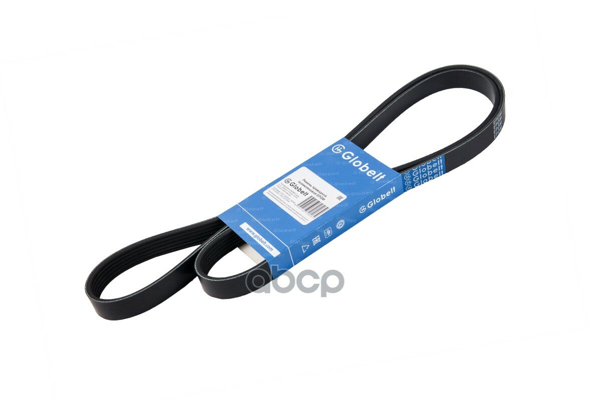 Ремень приводной поликлиновой Globelt арт. 6PK1555