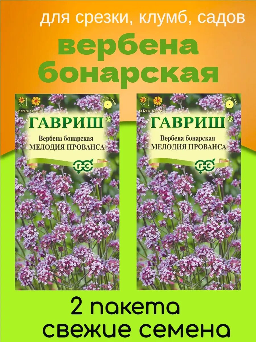 Семена вербены бонарской Мелодия Прованса 2 пакета