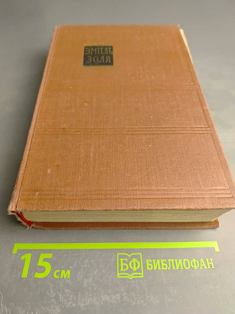 Эмиль Золя. Том 9. Дамское счастье. Радость жизни