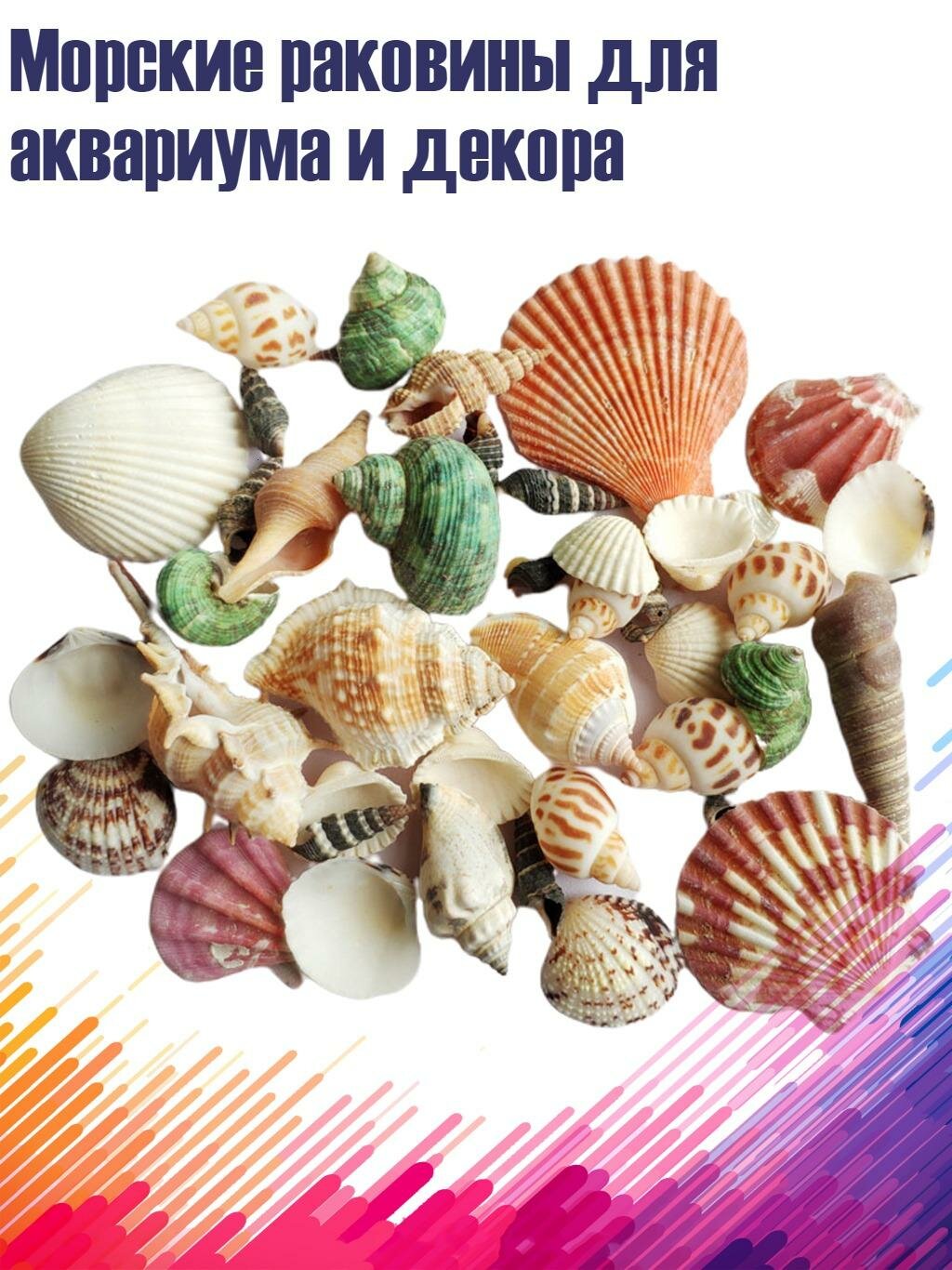 Морские раковины для аквариума и декора