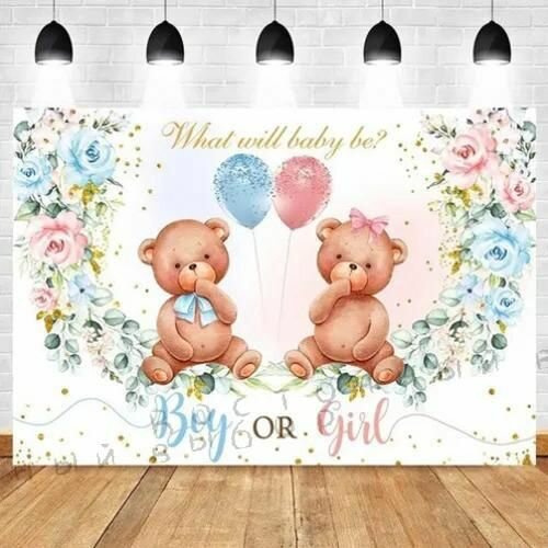 Баннер "Мальчик или Девочка", 220*150 см, для Гендер Пати