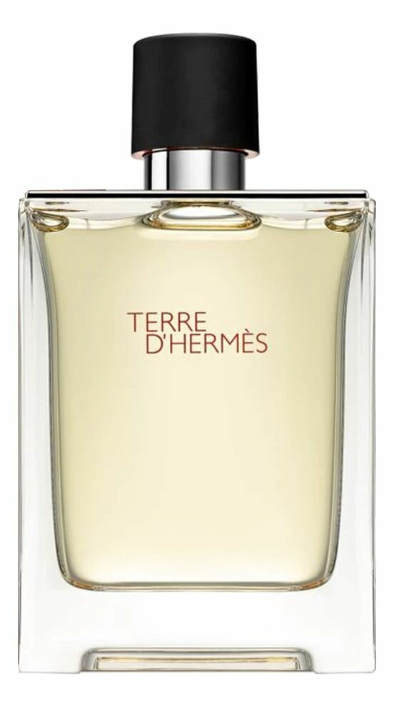 Hermes Terre D'Hermes pour homme Туалетная вода 100 ml