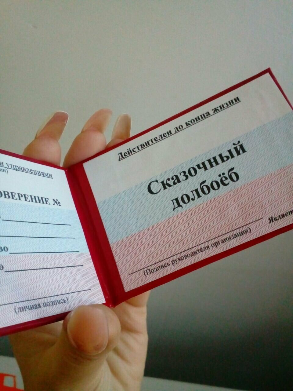 Удостоверение сувенирное ксива Сказочный д**