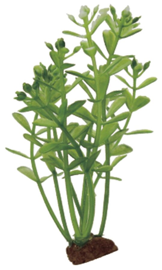 Набор искусственных растений ArtUniq Rotala Set 6x10