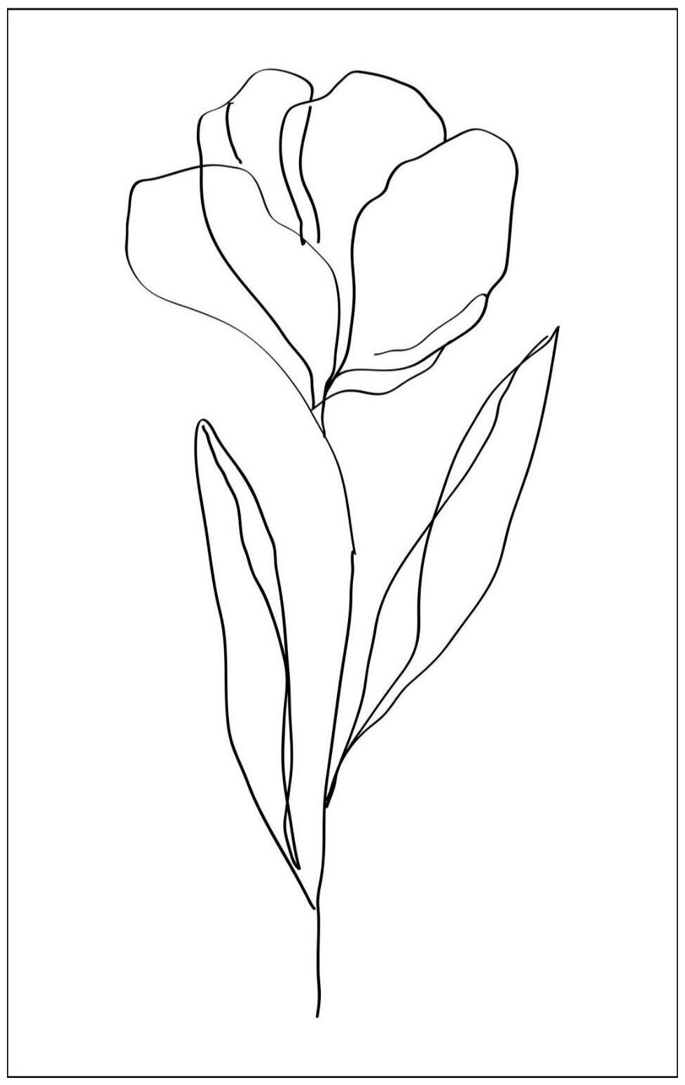 Постер / Плакат / Картина Линии - Раскрывшийся цветок 60х90 см в подарочном тубусе