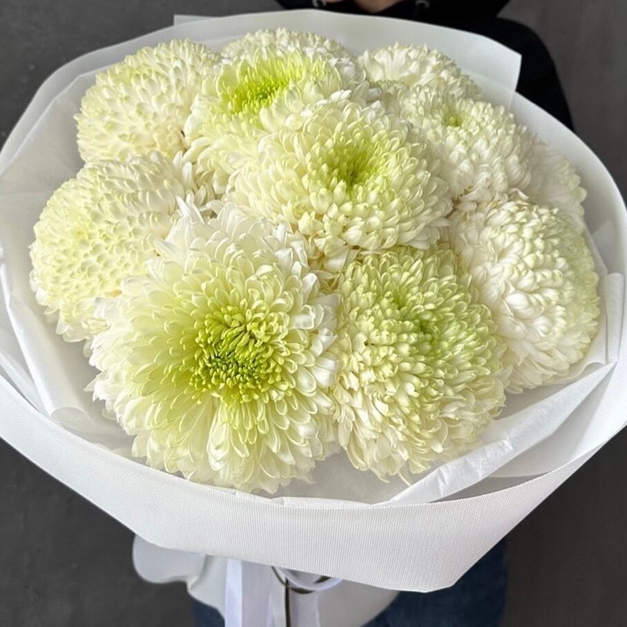 Букет из белых хризантем 11 шт, красивый букет цветов, шикарный, премиум цветы, премиум букет