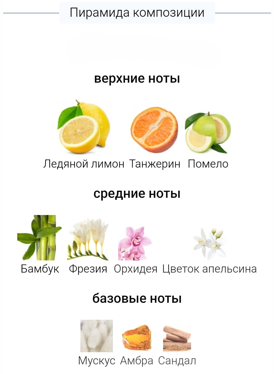 Духи ручной работы по мотивам 'Lucky Wish', Анна Суи, для женщин — фото 1