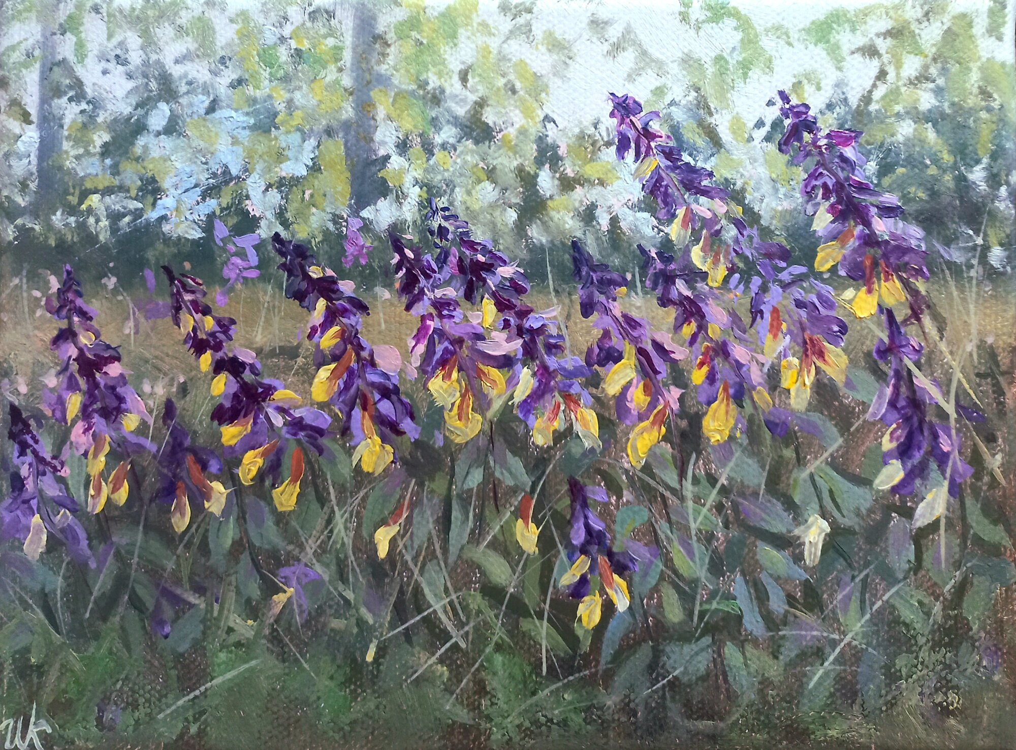 Картина маслом на холсте на подрамнике Ручная работа Полевые цветы Иван-да-Марья Оригинальная живопись Подарок