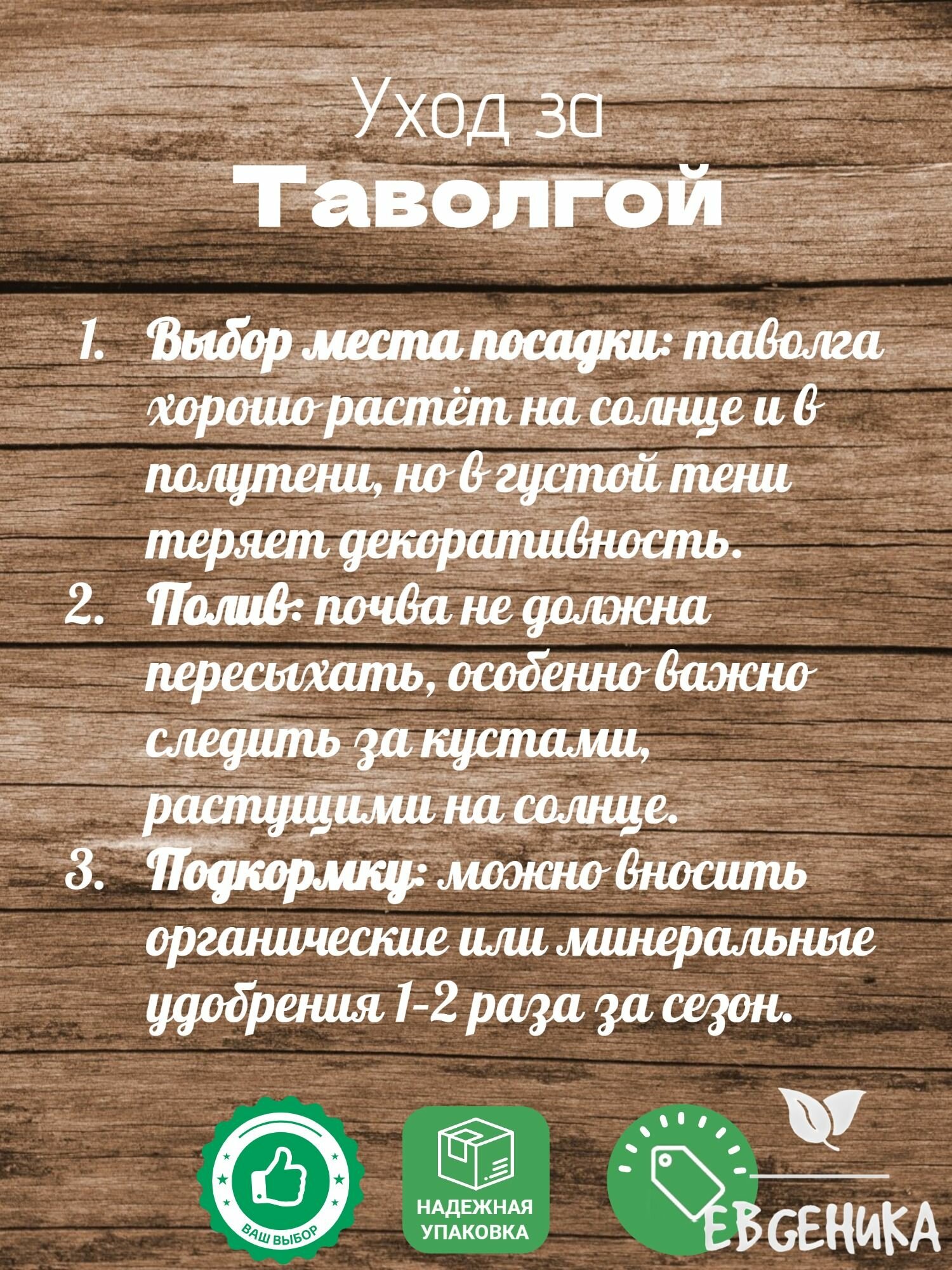 Таволга — фото 1