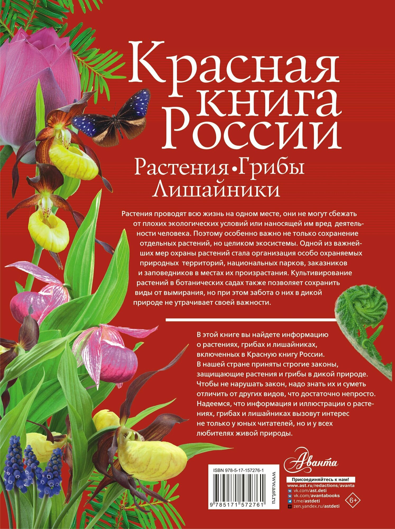 Красная книга России. Растения. Грибы. Лишайники (Ирина Пескова)