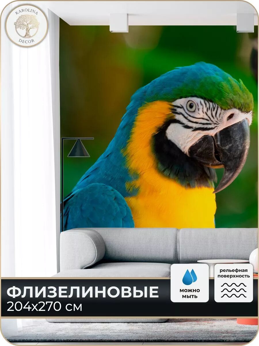Фотообои Попугай для зала в детскую в спальню 200х270