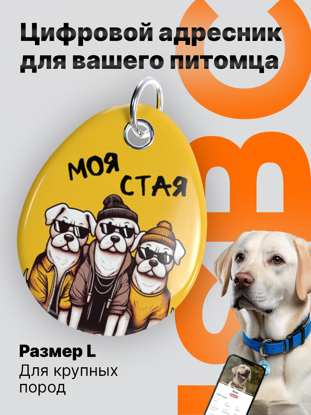 Адресник для собак средних и крупных пород от ISBC с NFC и QR-кодом, Моя стая