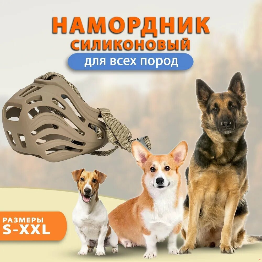 Намордник