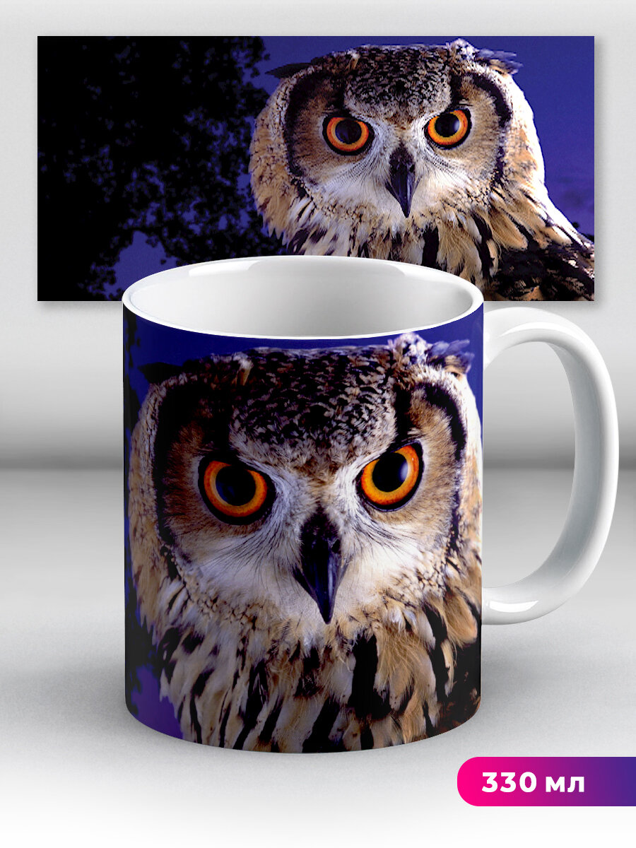 Кружка Сова Филин