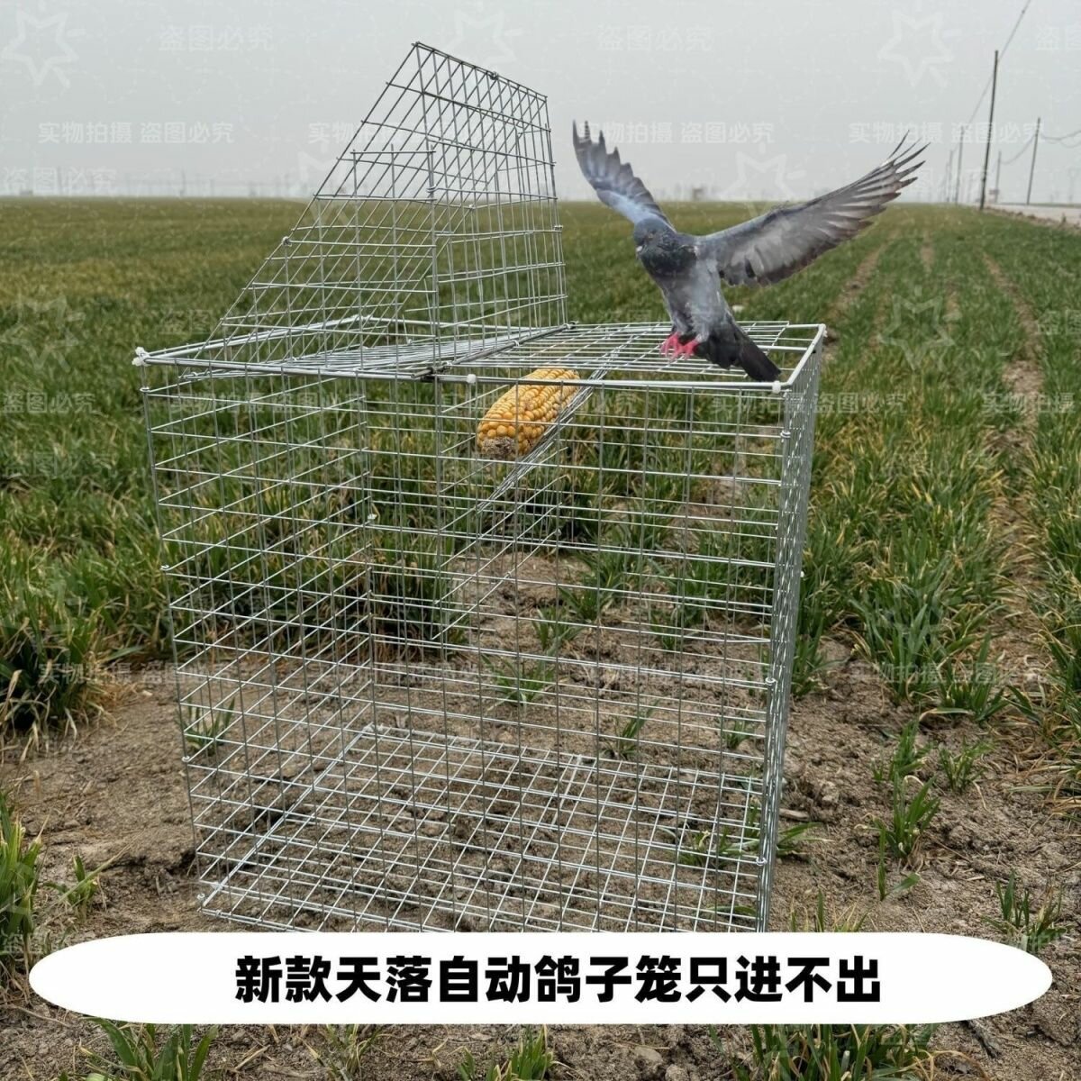Устройство для ловли голубей, клетка для птиц, клетка для голубей, завод по разведению, автоматическая клетка для падения, вращающаяся клетка, переворачивающаяся клетка, оцинкованная клетка для голубей, переворачивающаяся клетка