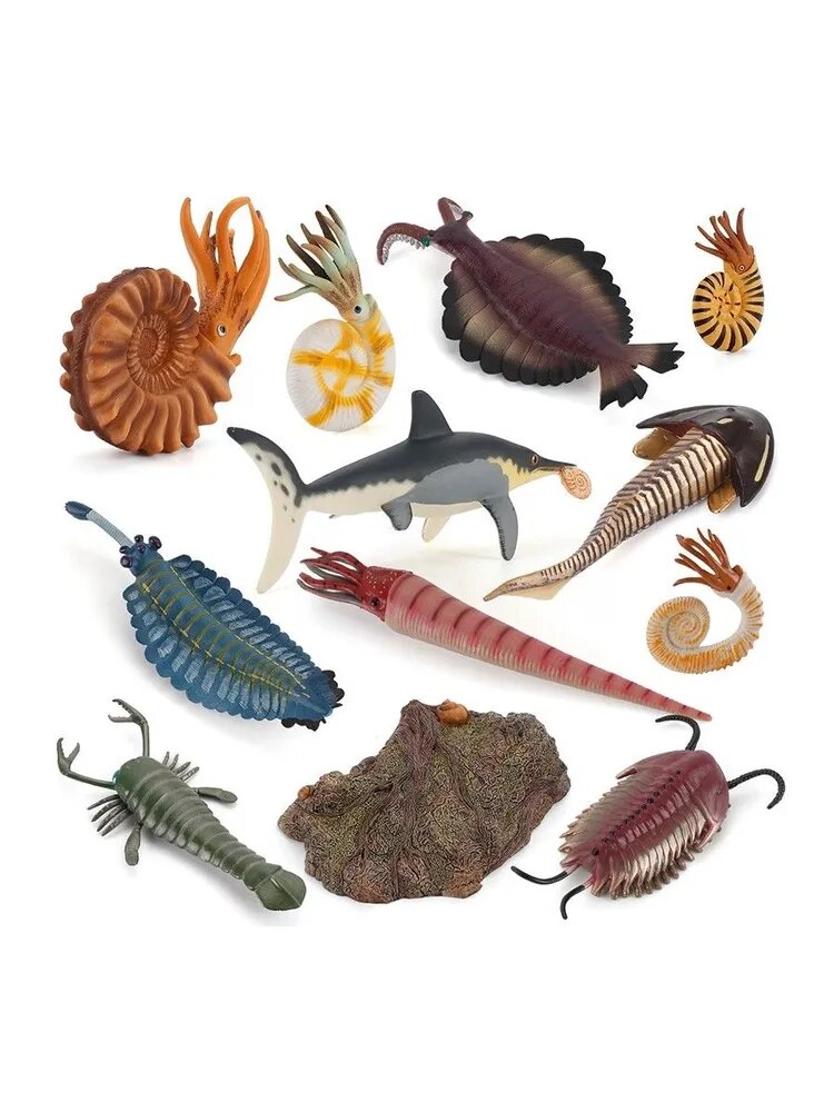 Anomalocaris морское животное pvc модель реалистичный дизайн для декора аквариума parrots shell l