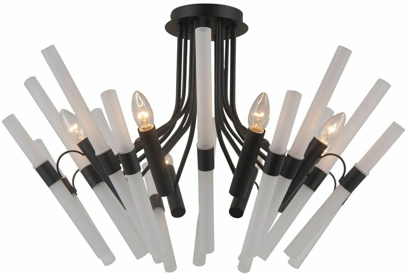 Потолочный светильник G31116/8BK WT Gerhort